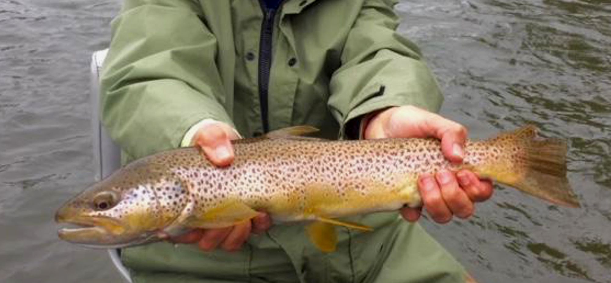 Home - Two Feathers Ranch