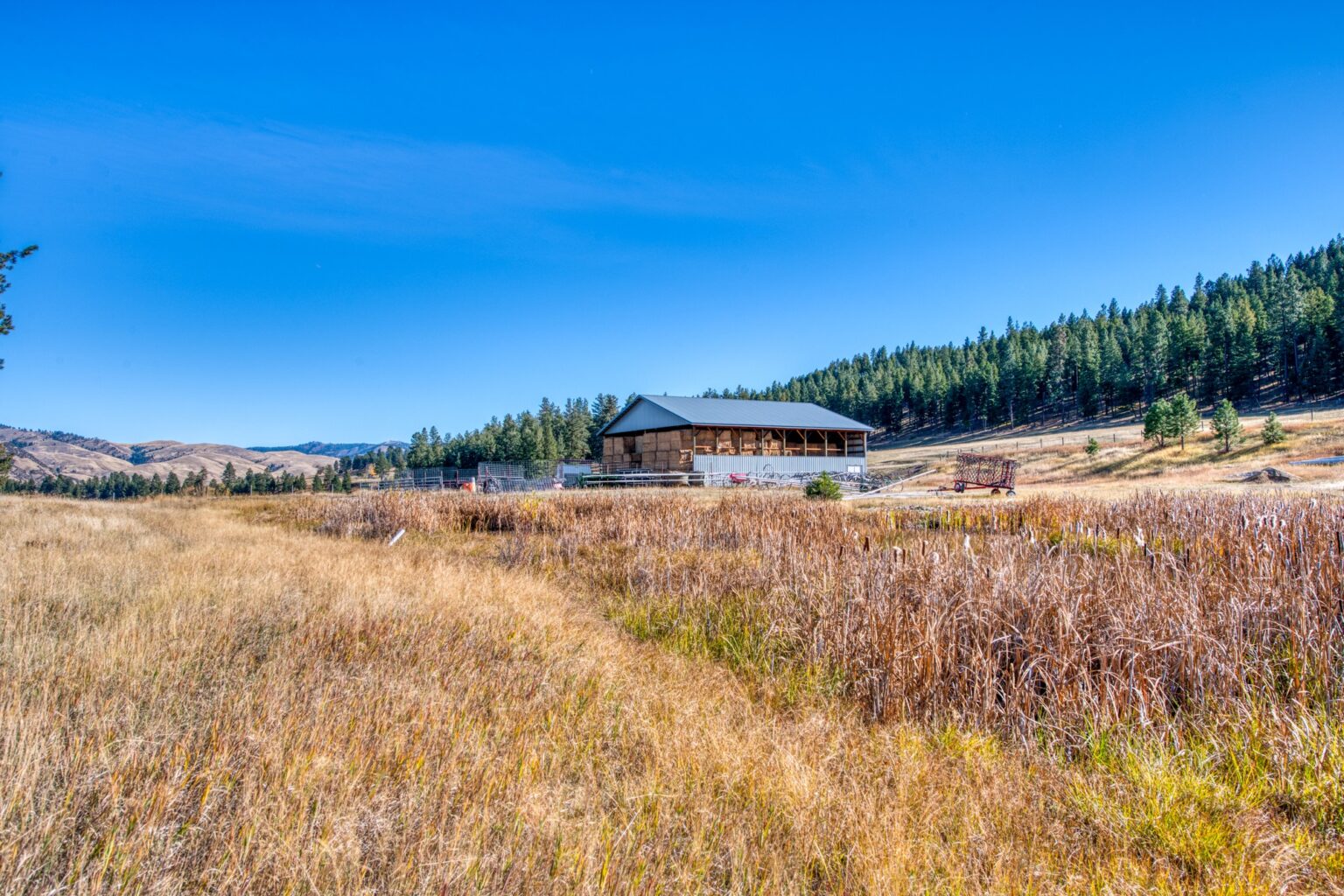 The Land - Two Feathers Ranch