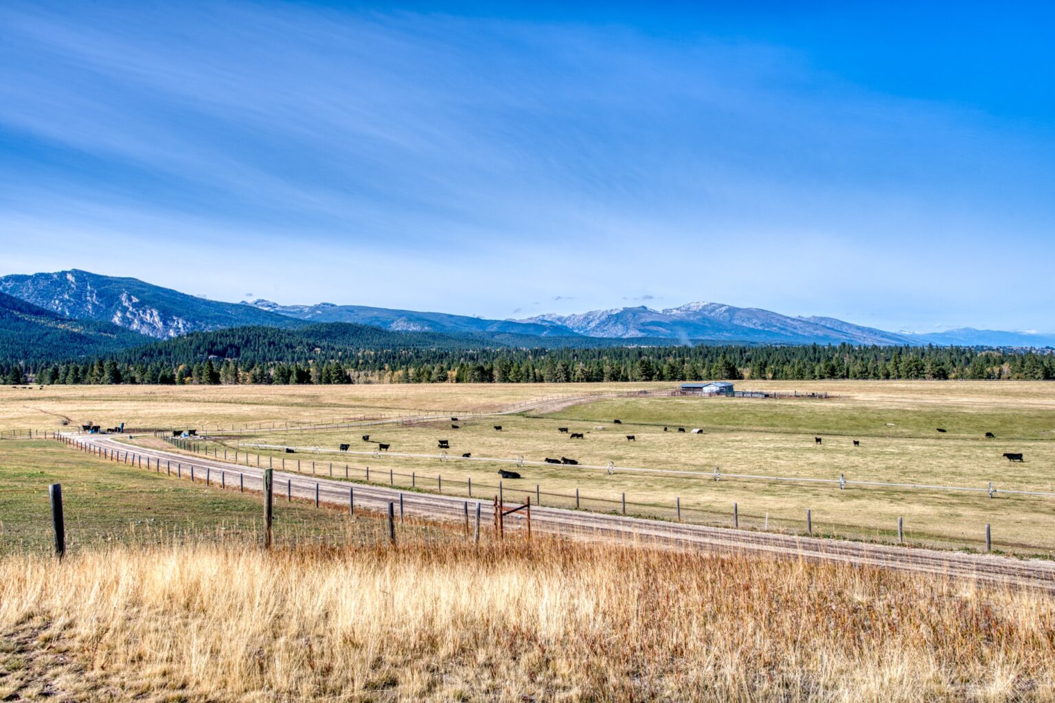 The Land - Two Feathers Ranch