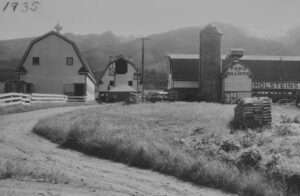 The History - Two Feathers Ranch