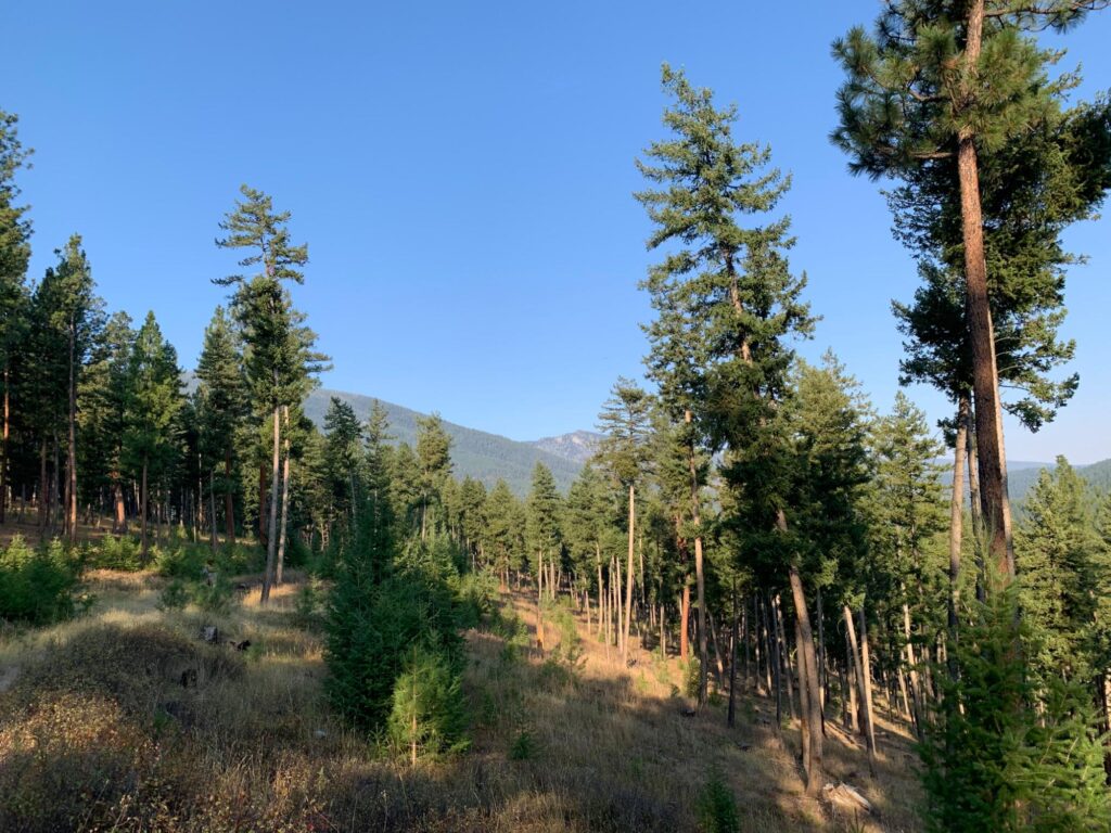 The Land - Two Feathers Ranch