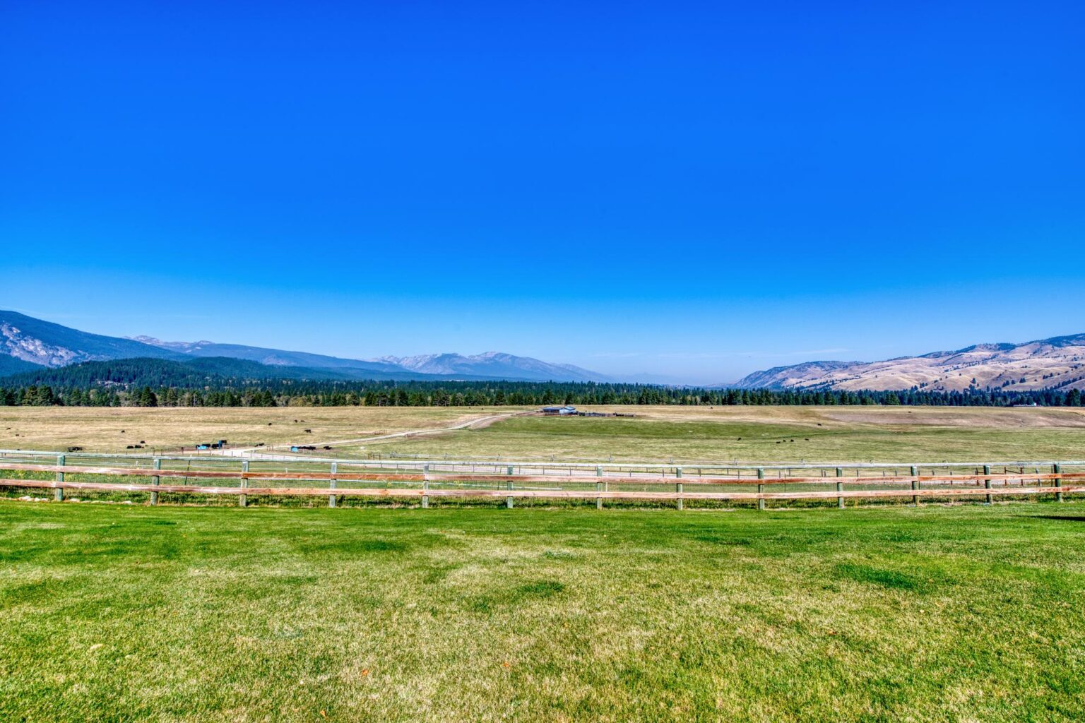 The Water - Two Feathers Ranch